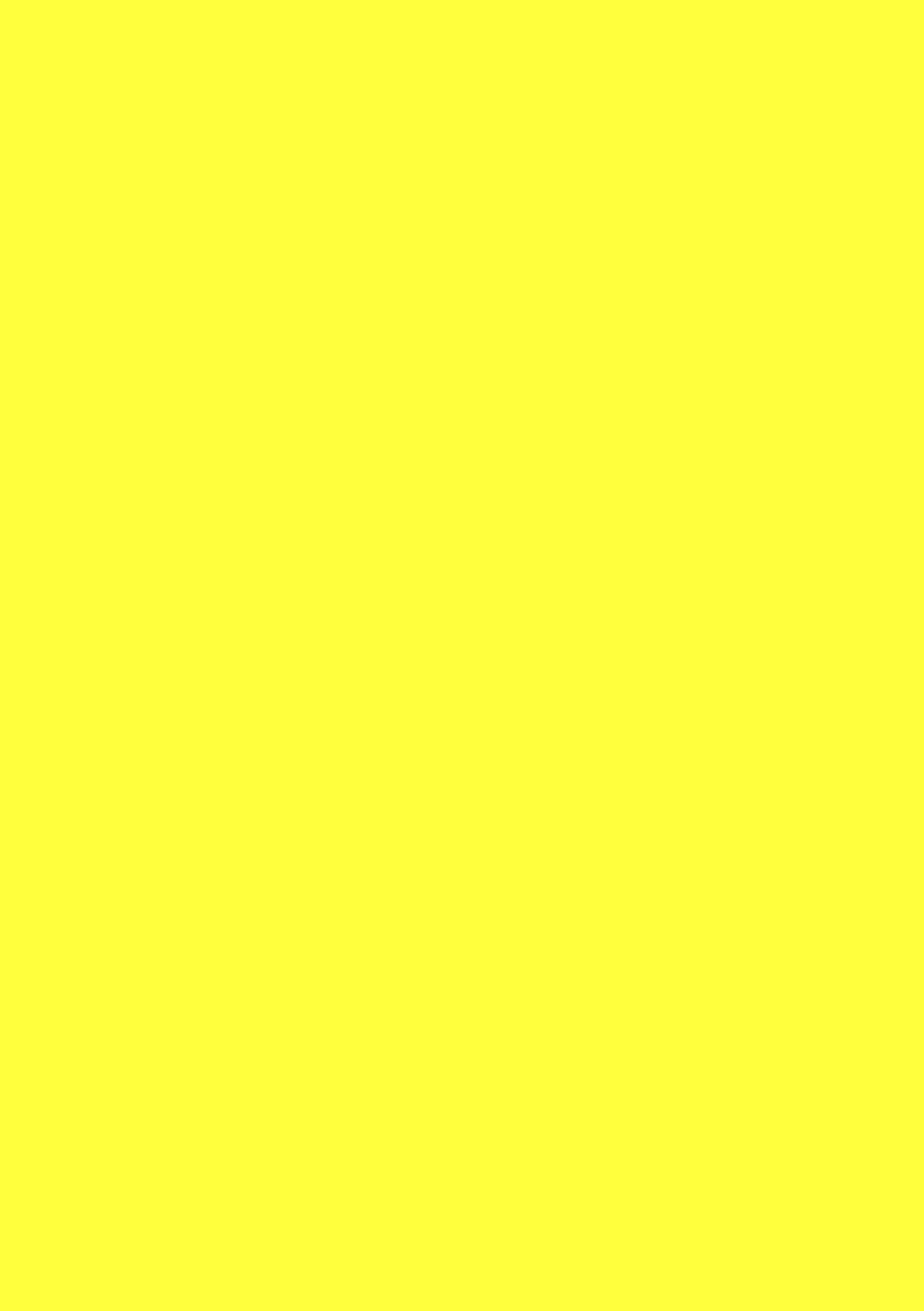 NB Yellow - Evershine