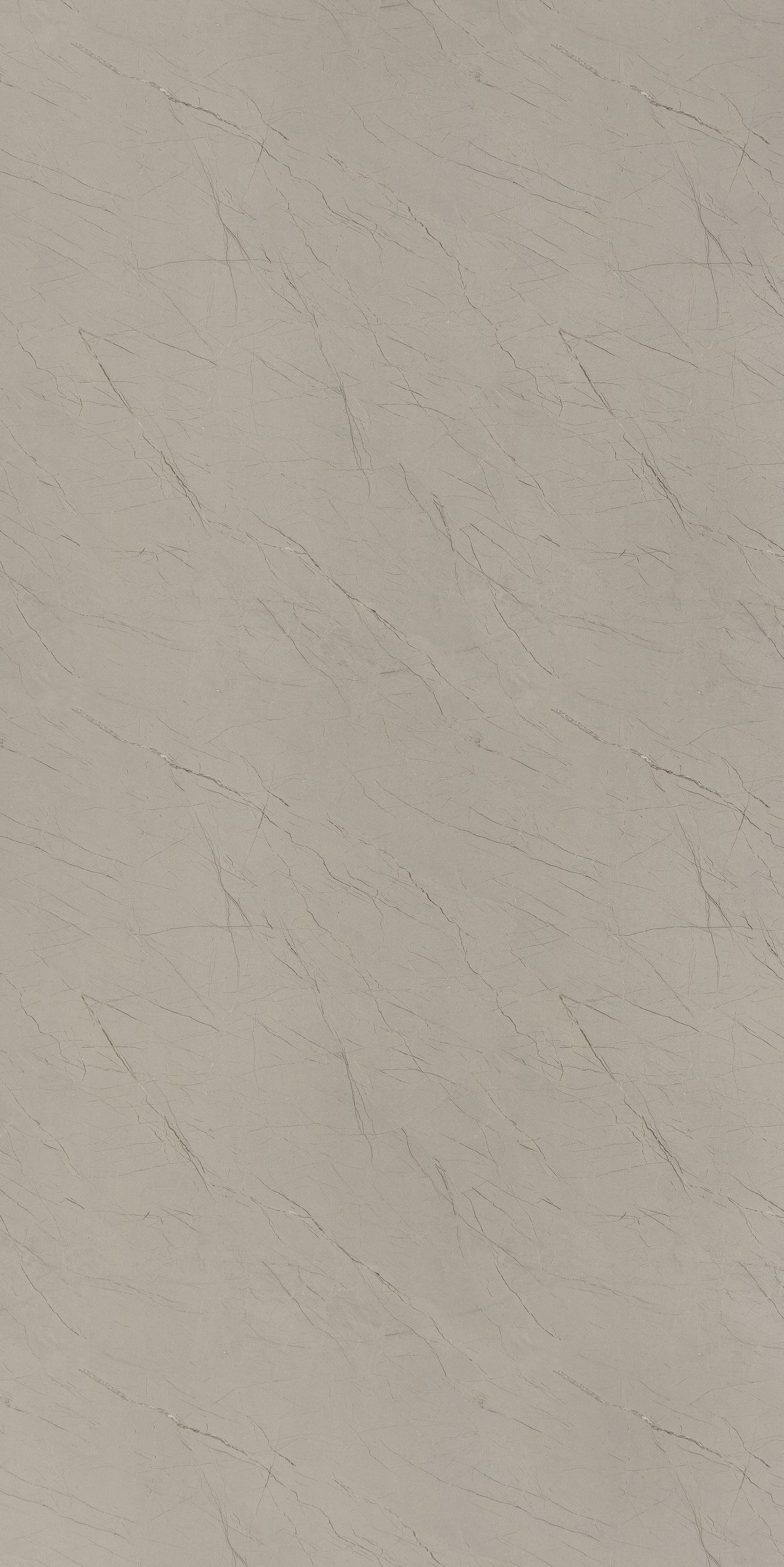 Grey Marvel - Evershine